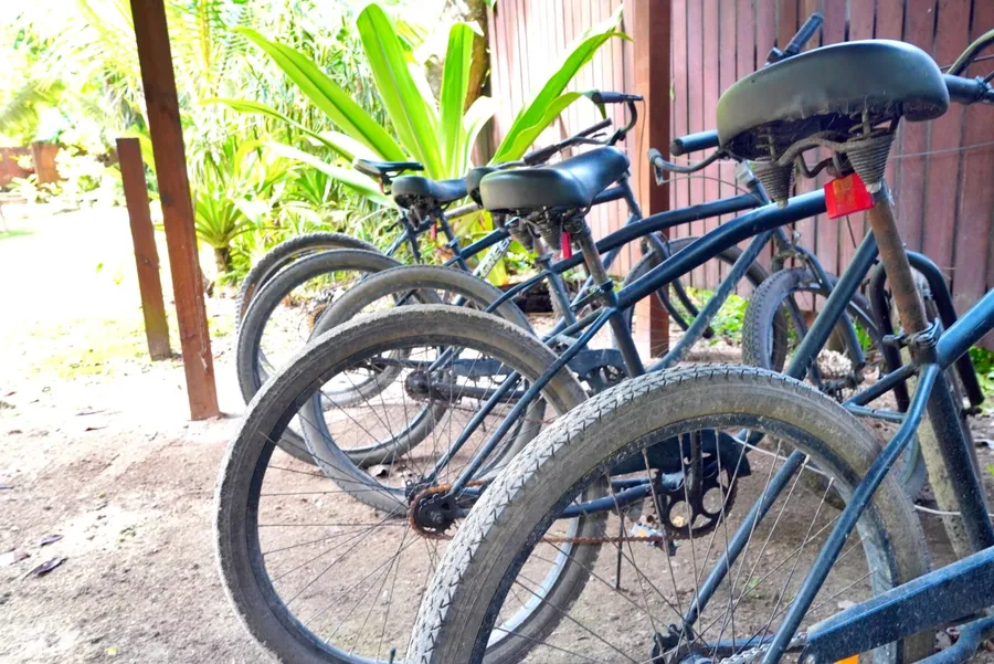 Things to Do on Vanuatu's Largest Travel Guide